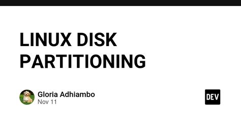 Linux Disk Partitioning Dev Community