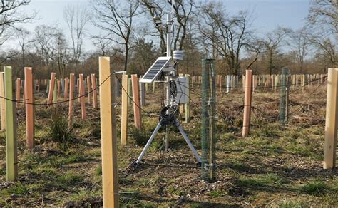 Installing A Tree Growth Monitoring Station Friends Of Westonbirt