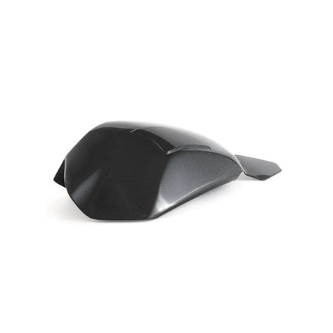 Carbon Swingarm Guard Ducati Streetfighter V4