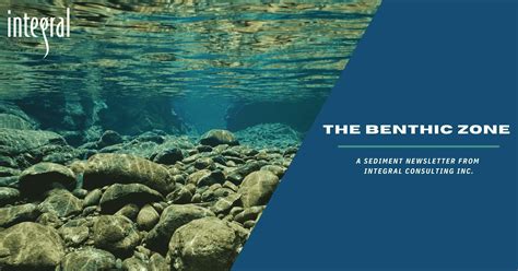 Pfas Integral Consulting