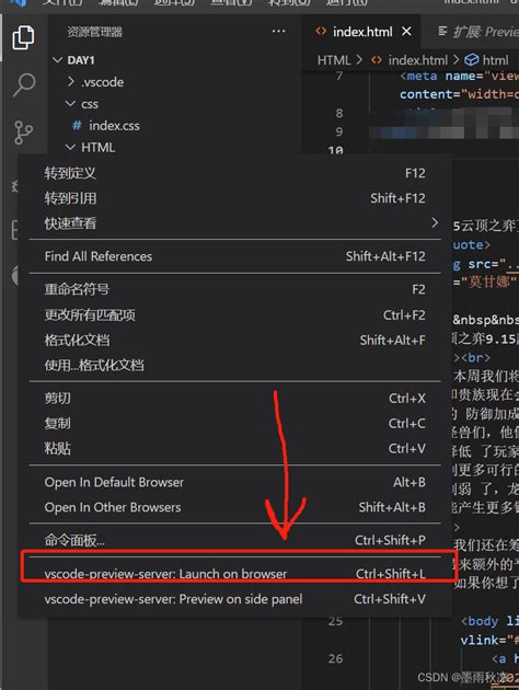 解决live Serverv插件无法显示实时预览问题live Server 无法预览 Csdn博客