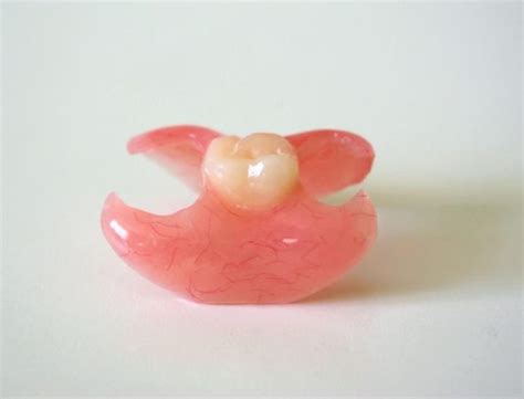 Flexi Denture Single Tooth By Istar Fda Certified