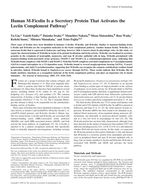 Pdf Human M Ficolin Is A Secretory Protein That Activates The Lectin Complement Pathway