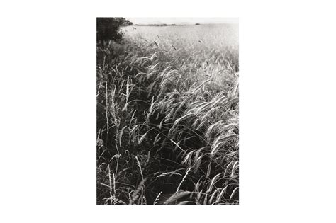 Lot 277 Edwin Smith 1912 1971