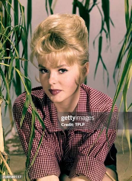 American Actress And Dancer Joey Heatherton Poses For A Portrait In