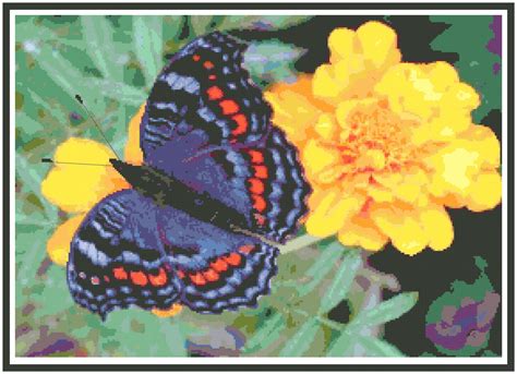 Beautiful Butterfly 1 Pattern Chart Graph