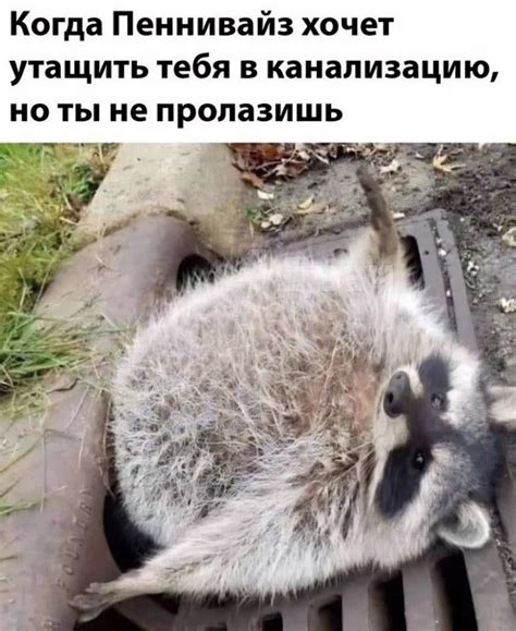 Потрачено | ПОТРАЧЕНО | ВКонтакте