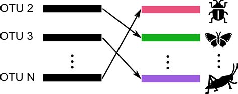 Research Mingxin Liu