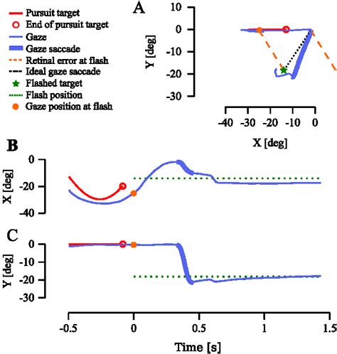 Long Latency Trial A Spatial Representation Of Gaze Blue Line