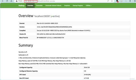 hadoop 01 hadoop3 3 6安装教程，单机 伪分布式配置 csdn博客