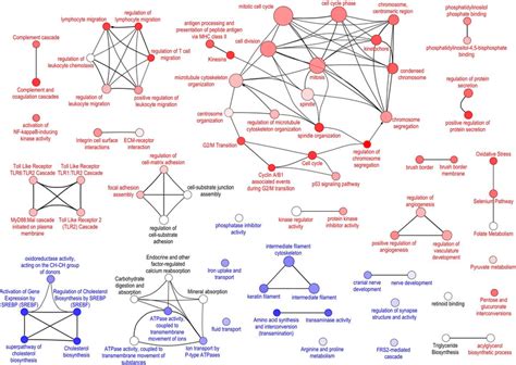 Comparative Go Analysis A Comparative Analysis Of Overrepresented Download Scientific Diagram