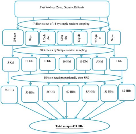 Pictorial Presentation Of Sampling Procedure Download Scientific Diagram