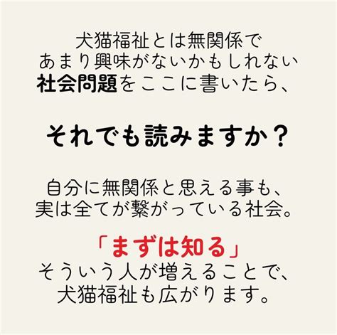 Pawer Pawer Added A New Photo