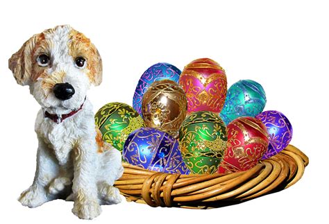 70 Free Easter Dog And Easter Images Pixabay
