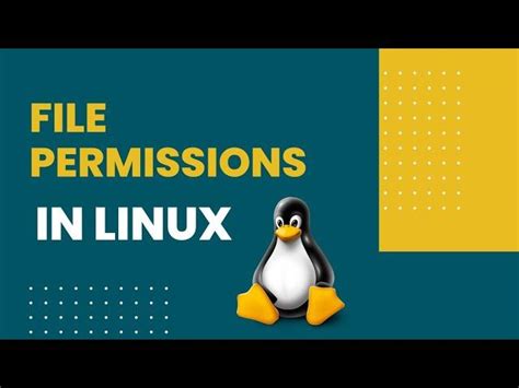 day 4 of 90daysofdevopschallenge file permissions in linux mayur
