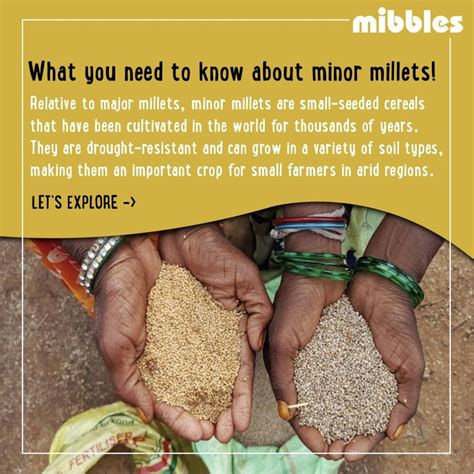 What You Need To Know About Minor Millets Mibbles
