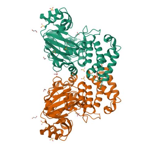 Rcsb Pdb 4do0 Crystal Structure Of Human Phf8 In Complex With Daminozide