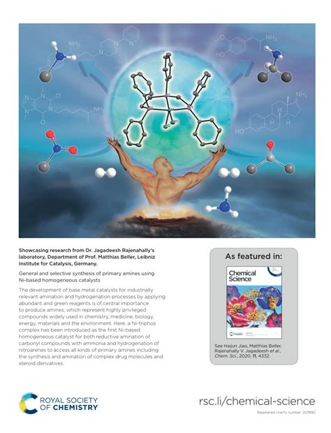 Pdf General And Selective Synthesis Of Primary Amines Using Ni Based Homogeneous Catalysts