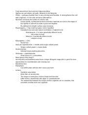 Understanding Fungi Absorption Reproduction And Symbiotic Course Hero