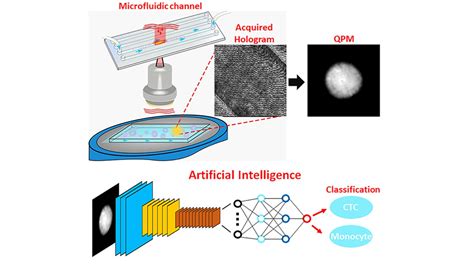 Closing Gaps In Early Cancer Detection Aiporg