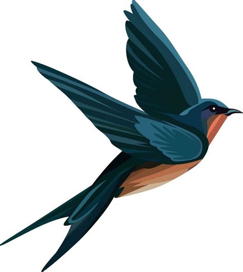 Barn Swallow Flying Drawing