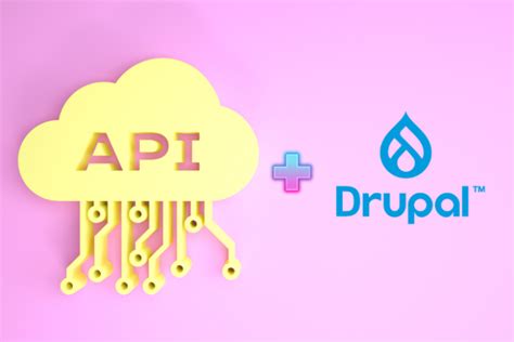 The Power Of External Api Integration In Drupal Makers365