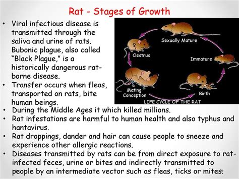Lesson 2a Growth And Development Ppt Download
