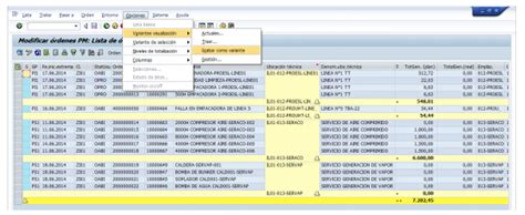 Sap Pm Reportes De Mantenimiento Grupo Ebim