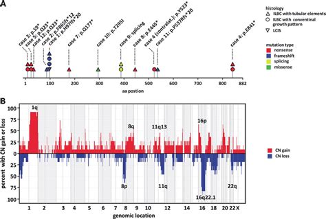 Cdh1 Mutation And Loss Of Chromosome 16q A Shown Is The Protein Coding Download Scientific