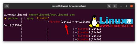 如何在 Linux 中查找父进程 Ppid Linux迷