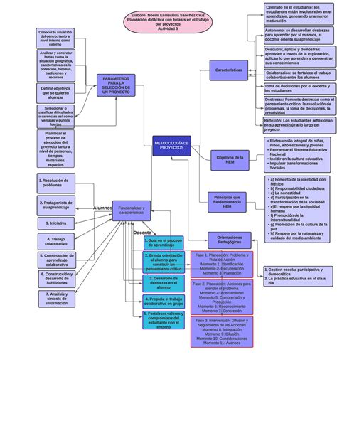 Organizador Gráfico Completo MetodologÍa De Proyectos Características