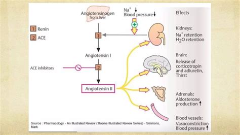 Hyperkalemia Pathophysiology And Treatment Pptx