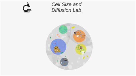 Cell Size And Diffusion Lab By Jerome Mercado On Prezi