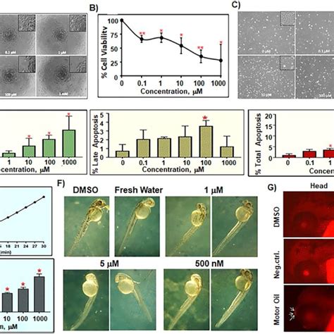 Schematic Of The Chemo Phenotypic Toxicity Measurement Cptm For The