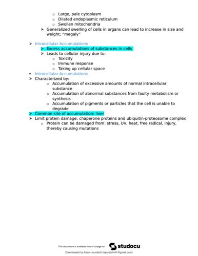 Quiz 1 Flashcards Quizlet Quiz 1 Flashcards Quizlet