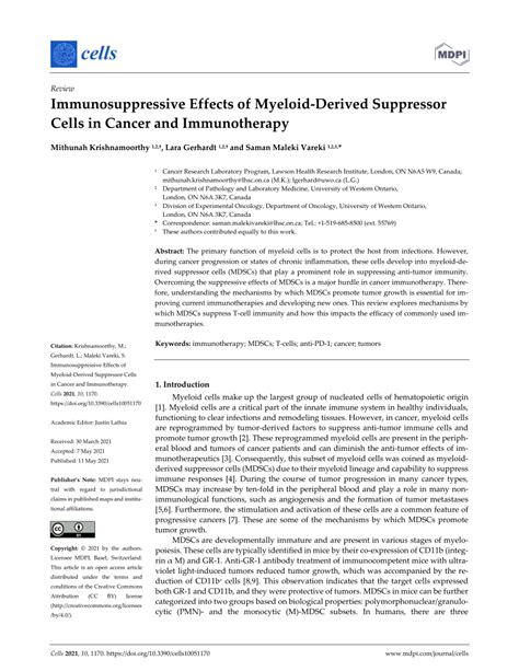 Pdf Immunosuppressive Effects Of Myeloid Derived Suppressor Cells In Cancer And Immunotherapy