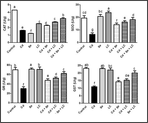 Effect Of Selenium And L Carnitine On Antioxidant Enzymes Activities Of