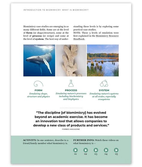 Feedback Loops We Asked Our Past Learners What They Enjoyed About The Learn Biomimicry