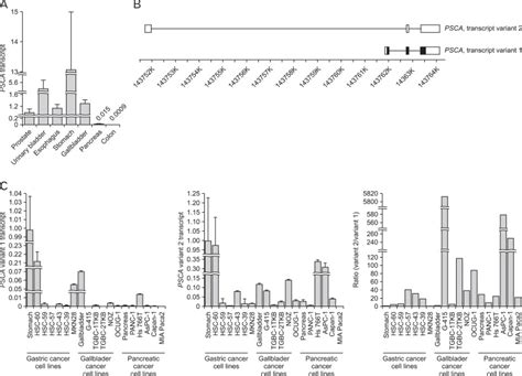 Two Splicing Variants Of The Prostate Stem Cell Antigen Psca Download Scientific Diagram