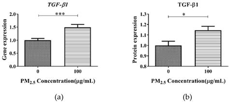 Toxics Free Full Text Tgf β Regulates M6a Rna Methylation After Pm2
