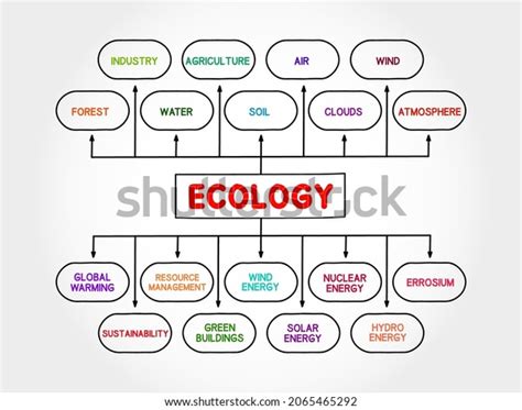 Ecology Mind Map Process Concept Presentations Stock Vector Royalty