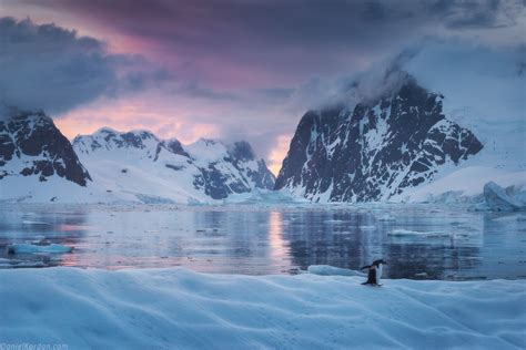 Antarctica Photography Expedition 2021 With Daniel Kordan