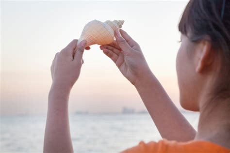 십대 여자아이 루킹 및 쥠 바라요 조개 껍데기 16 17 살에 대한 스톡 사진 및 기타 이미지 16 17 살 갈색 머리 검사 보기 Istock