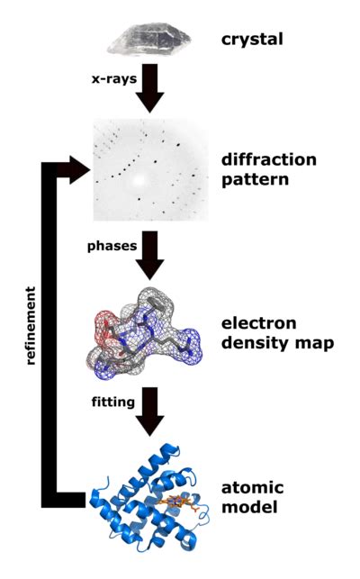 X Ray Crystallography Proteopedia Life In 3d