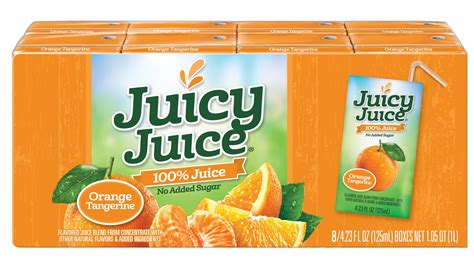 Juicy Juice Orange Tangerine 4 23 Ounce Boxes 8 Count