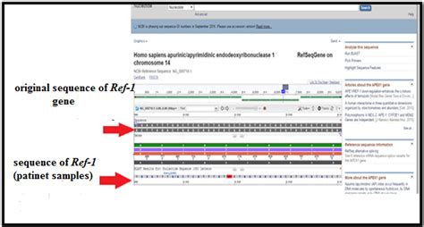 comparison of the results of sequencing ref 1 gene with the original