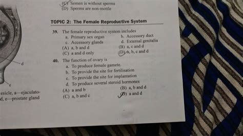 TOPIC The Female Reproductlve System The Female Reproductive Syste