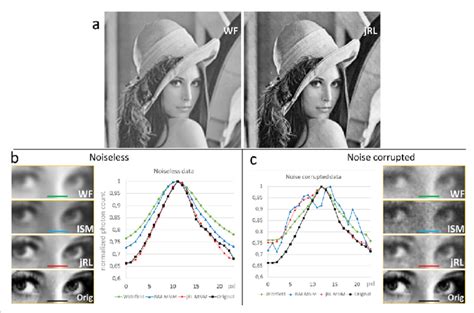 A Artificial Msim Raw Data Was Generated From A Standard Greyscale Download Scientific