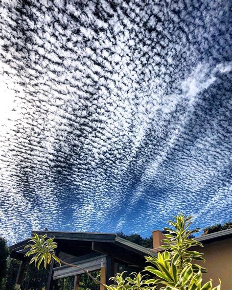 Campinas City 📸 Por Nelson Chinalia 📲 Nelsonchinalia 📍 Facebook