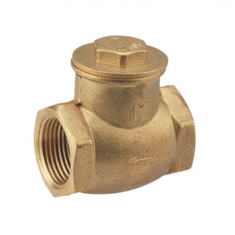 Buy Thrifco Plumbing 6415176 2 Ips Brass Swing Check Valve Prime Buy
